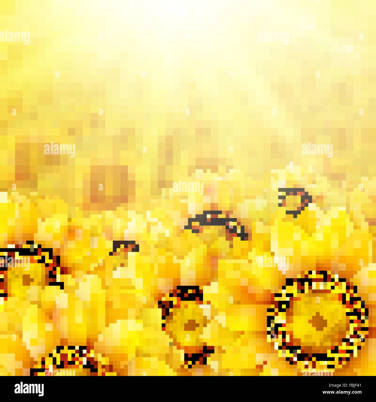 Sunflower petals with summer sun. EPS 10 Stock Vector Image & Art - Alamy
