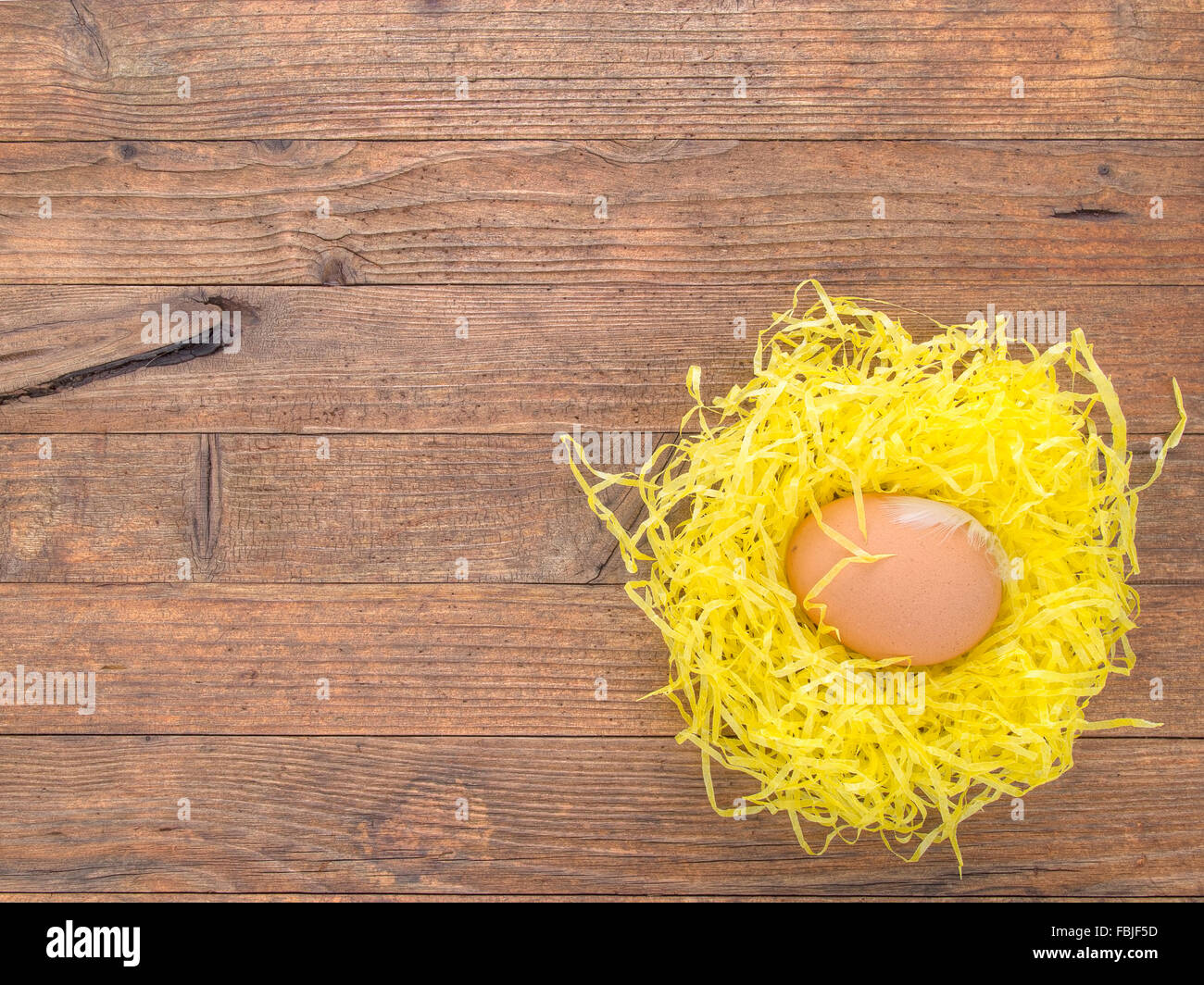 Fragile nest hi-res stock photography and images - Alamy