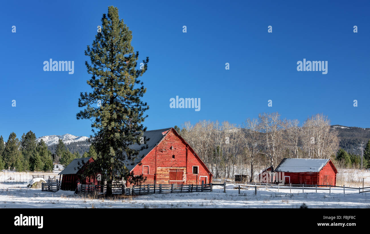 Pine barn hi-res stock photography and images - Alamy
