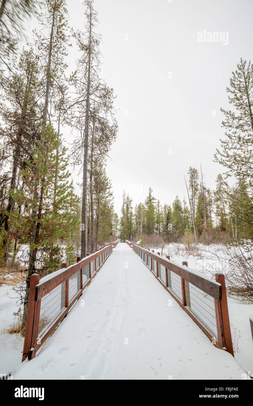 Cross Country ski tracks lead over a wood bridge in winter snow Stock ...