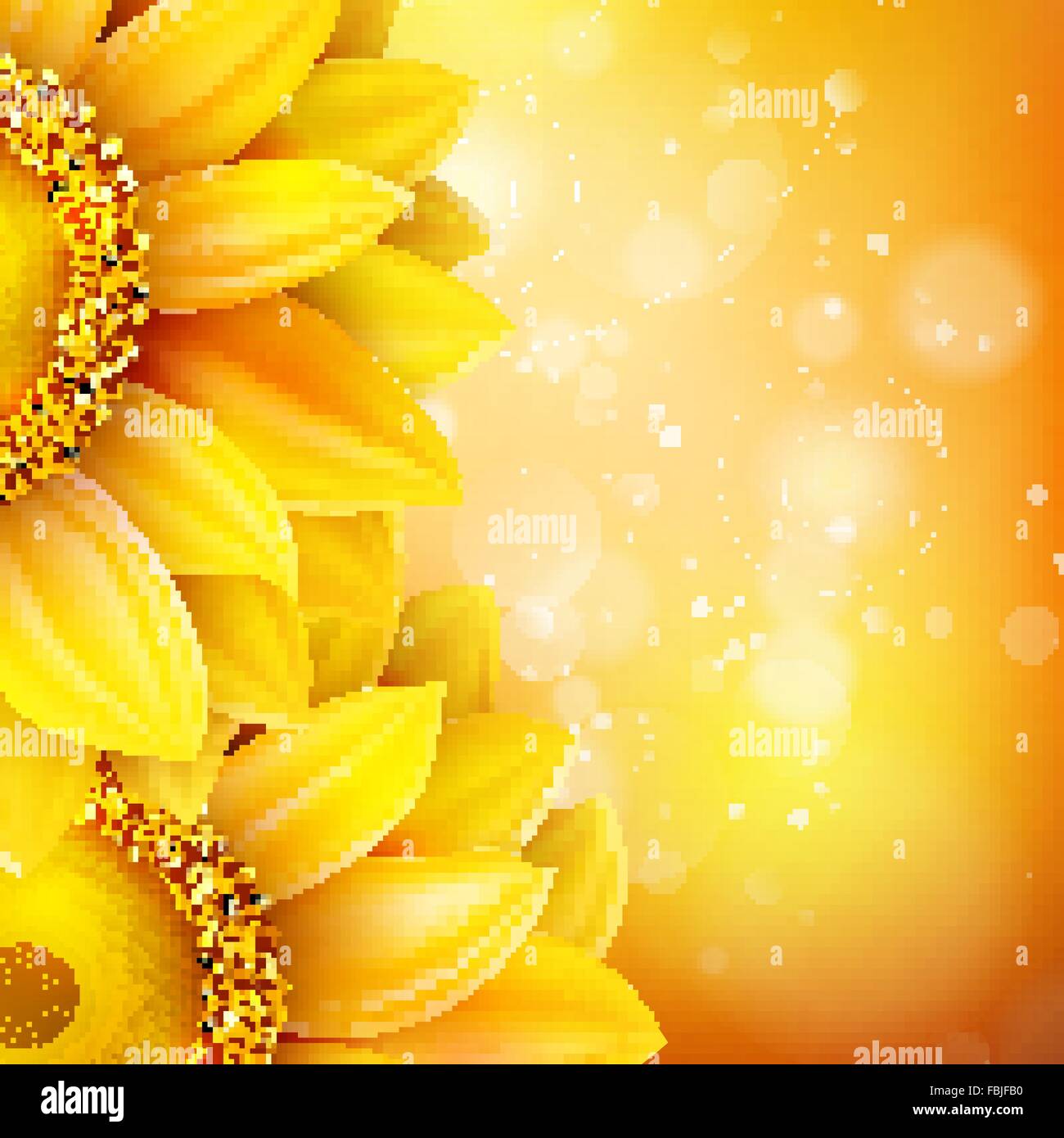 Macro SunFlower Background. EPS 10 Stock Vector Image & Art - Alamy