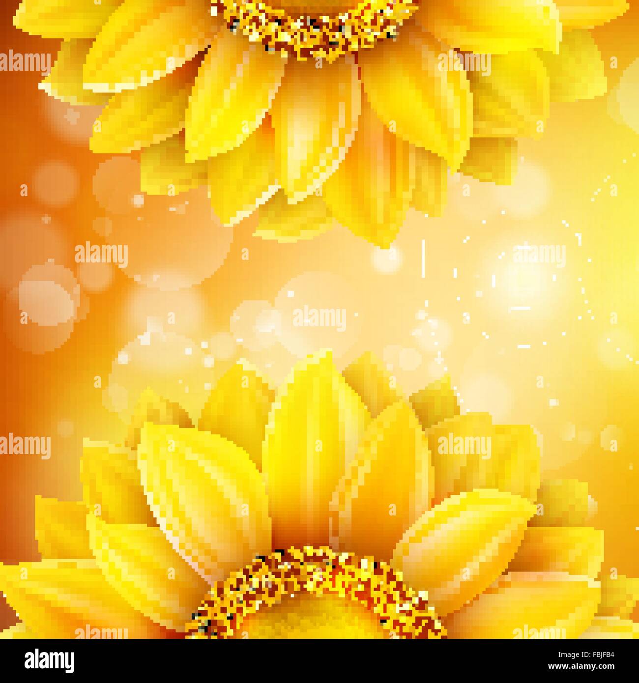 Macro SunFlower Background. EPS 10 Stock Vector Image & Art - Alamy Macro SunFlower Background. EPS 10 Stock Vector Image & Art - Alamy