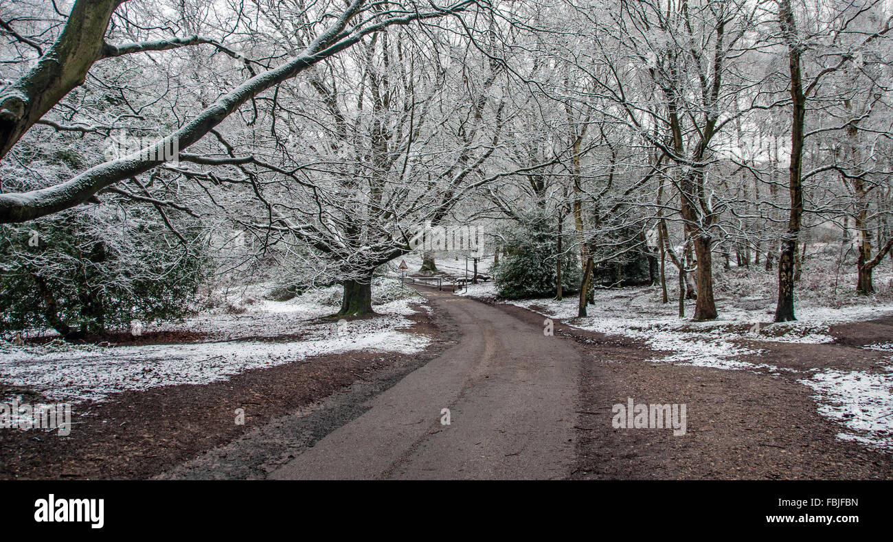 Sutton park birmingham hi-res stock photography and images - Alamy