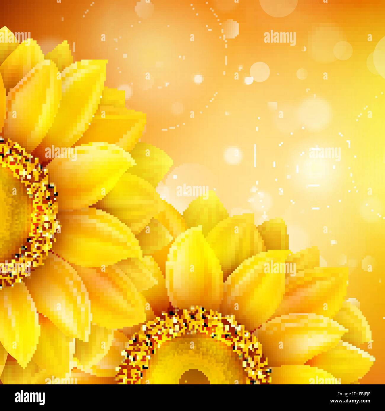 Sunflower details Stock Vector Images - Alamy