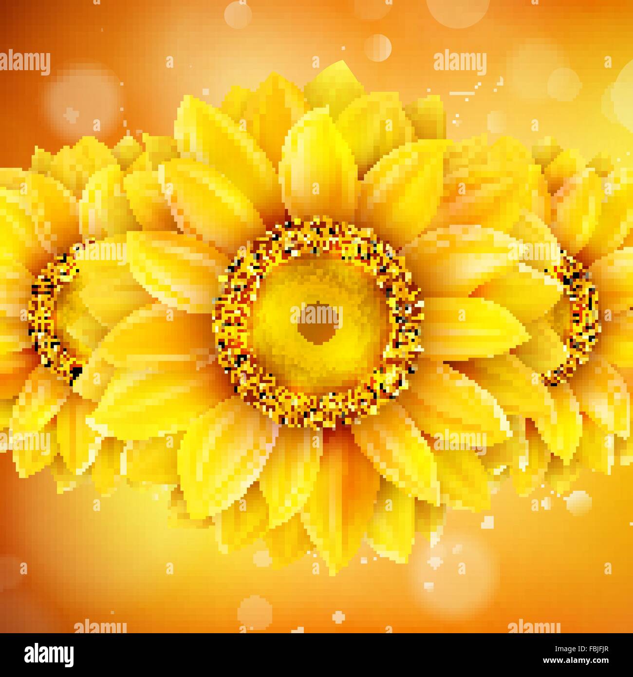 Macro SunFlower Background. EPS 10 Stock Vector Image & Art - Alamy Macro SunFlower Background. EPS 10 Stock Vector Image & Art - Alamy