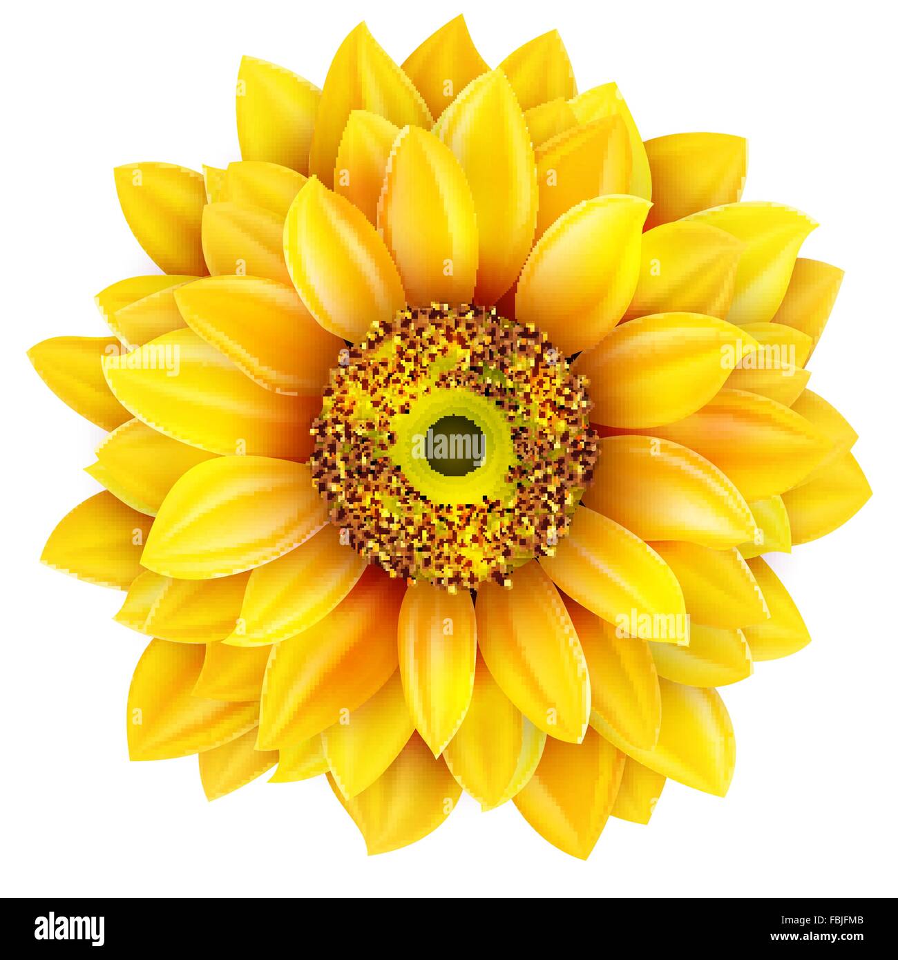 High quality sunflower Stock Vector Images - Alamy