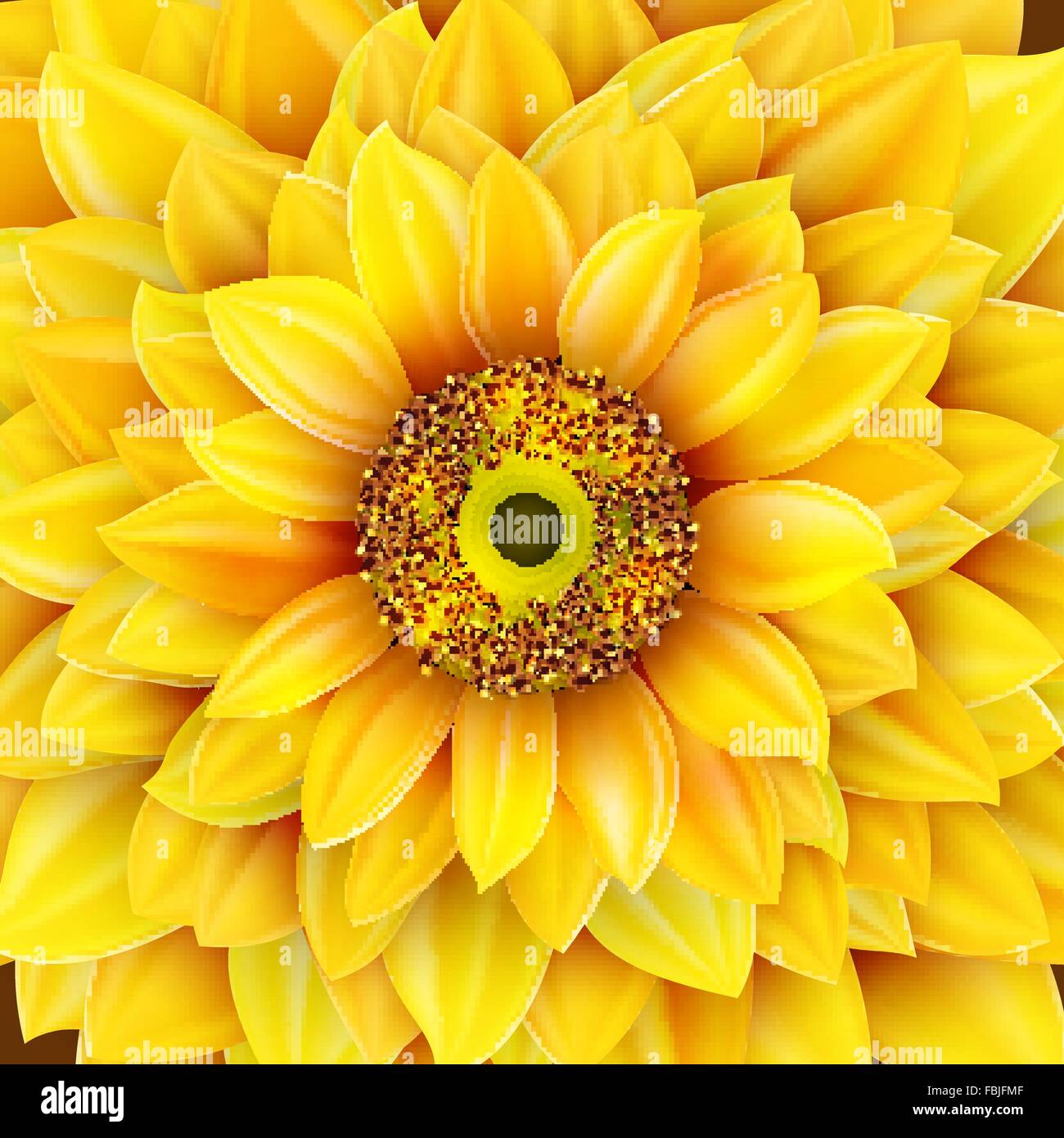 High quality sunflower Stock Vector Images - Alamy