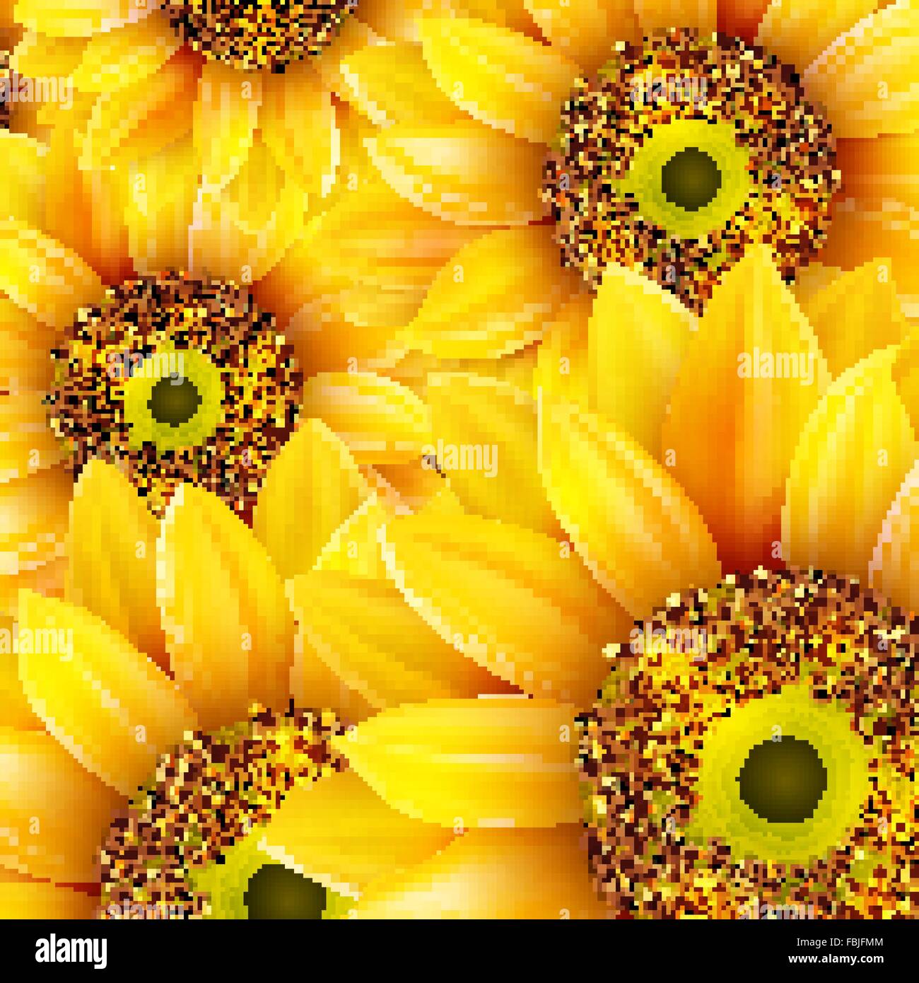 Sunflowers, realistic illustration. EPS 10 Stock Vector Image & Art - Alamy