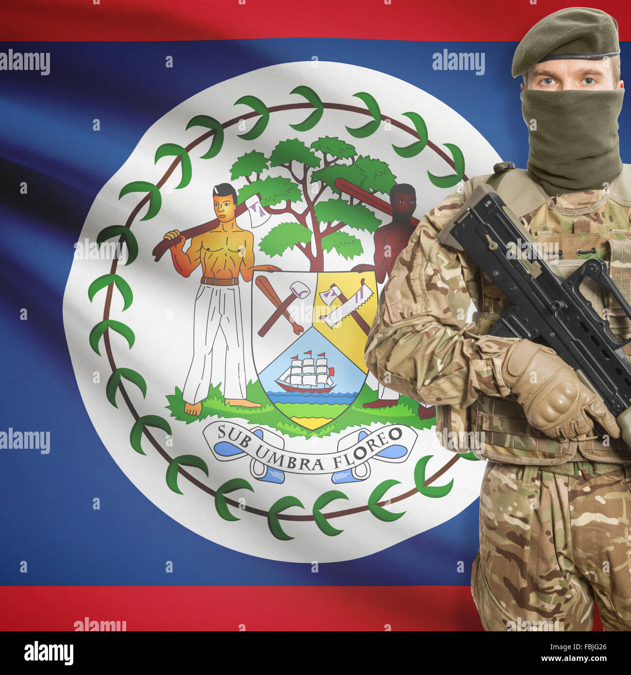 Soldier with machine gun and national flag on background series ...
