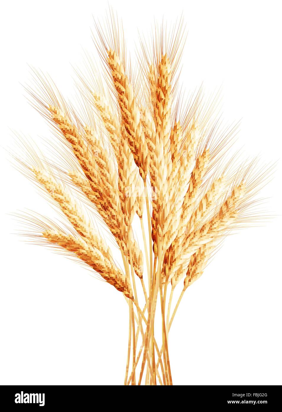 Bunch of stalks Stock Vector Images - Alamy