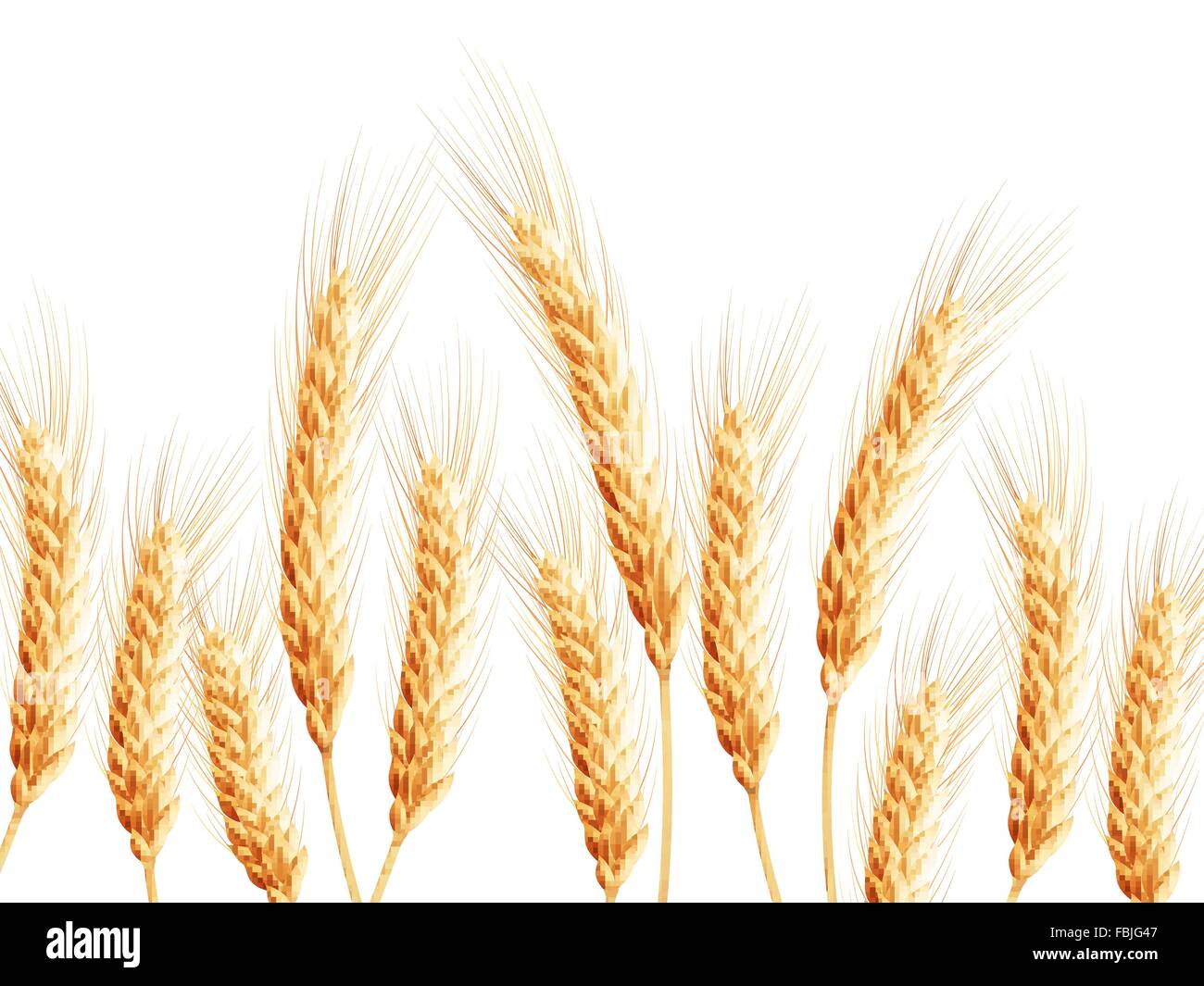 Bread cereals on white Stock Vector Images - Alamy