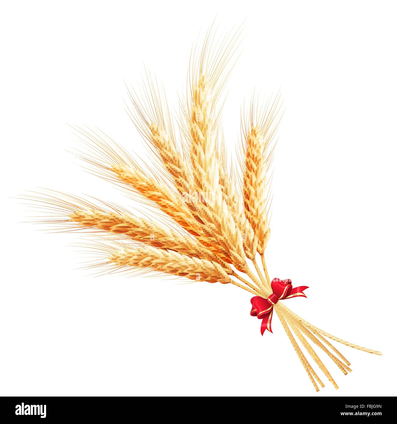Red wheat Cut Out Stock Images & Pictures - Alamy