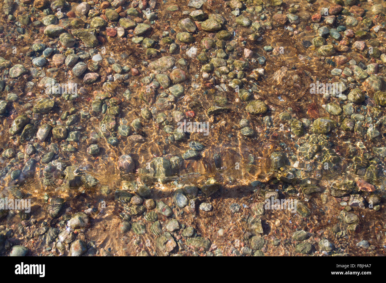 Shore of the lake closeup. Pebble and still water in sunny day Stock ...