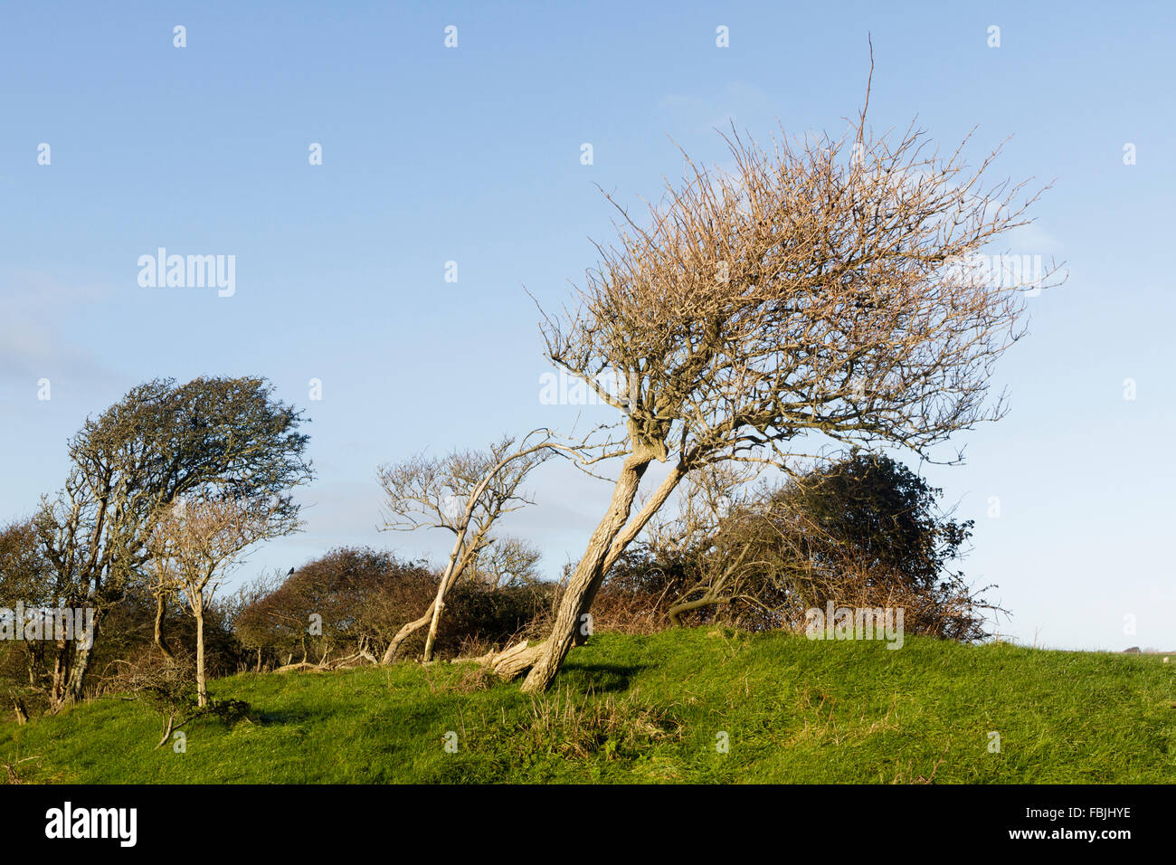 Prevailing High Resolution Stock Photography and Images - Alamy