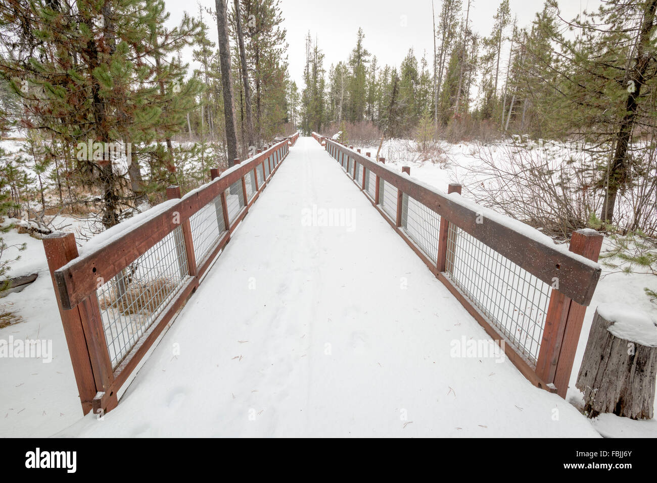 Wooden foot bridge in hi-res stock photography and images - Alamy