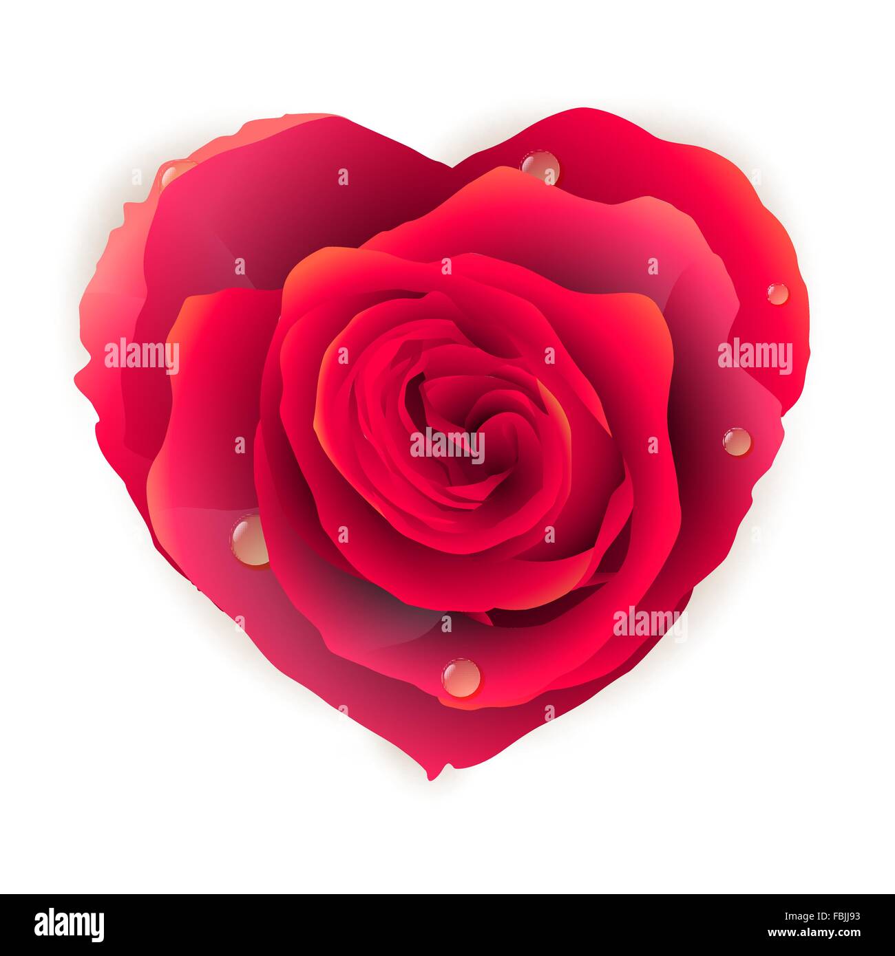 Isolated beautiful red rose heart. EPS 10 Stock Vector Image & Art - Alamy