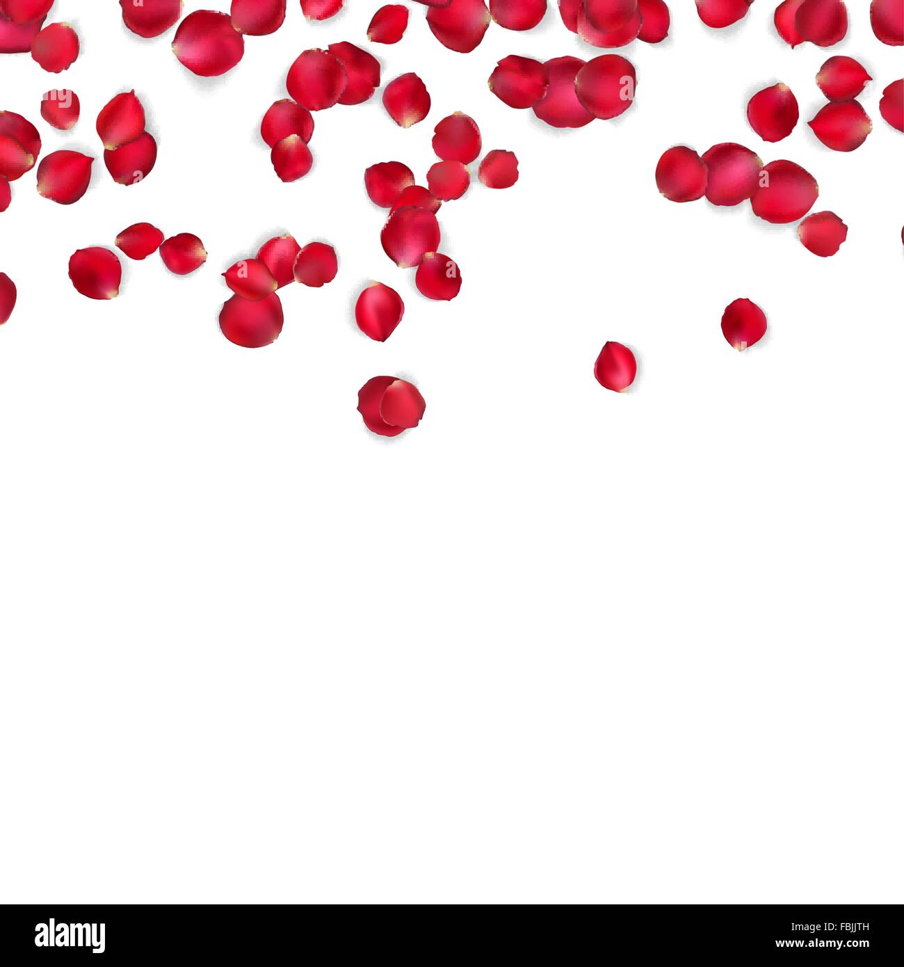 Valentine card with Petals of a rose. EPS 10 Stock Vector Image & Art ...
