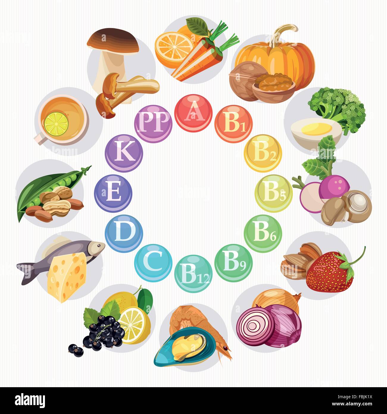 Food Groups Wheel Stock Vector Images - Alamy