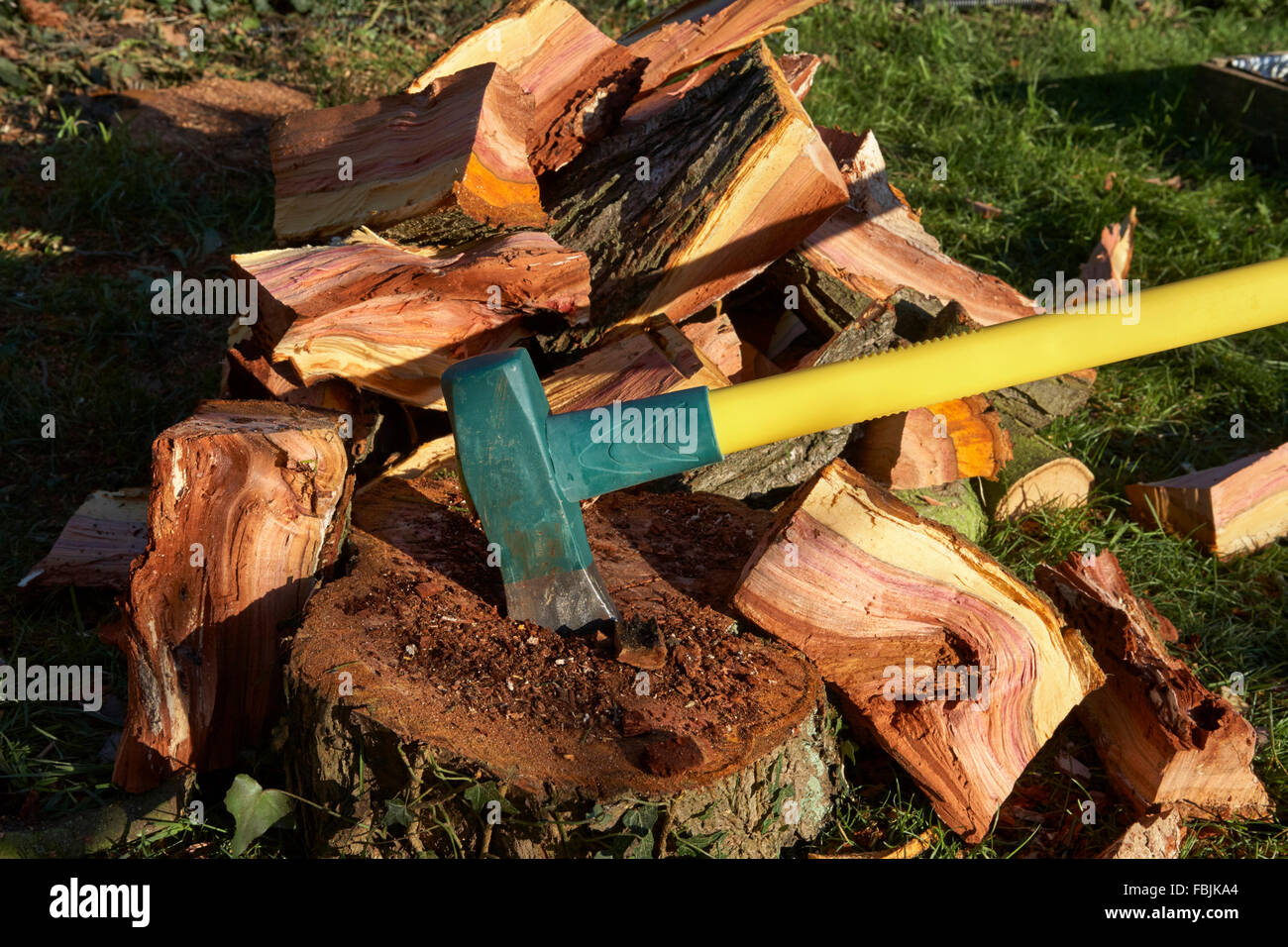 Embedded in tree hi-res stock photography and images - Alamy