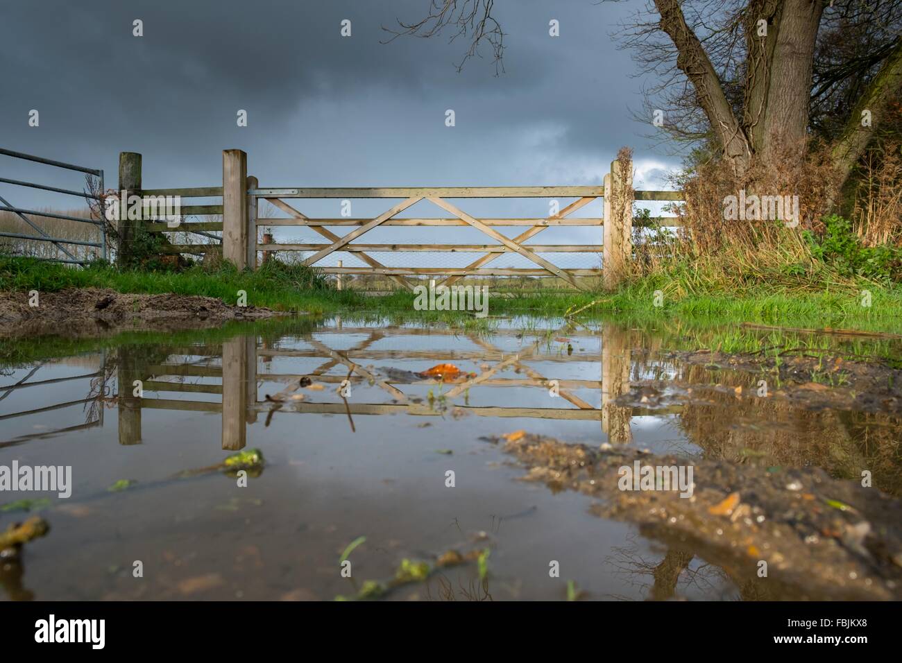 Farm gate reflected in puddle Stock Photo - Alamy