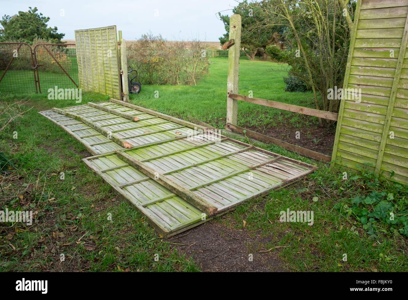 Garden fence blown down by wind Stock Photo - Alamy