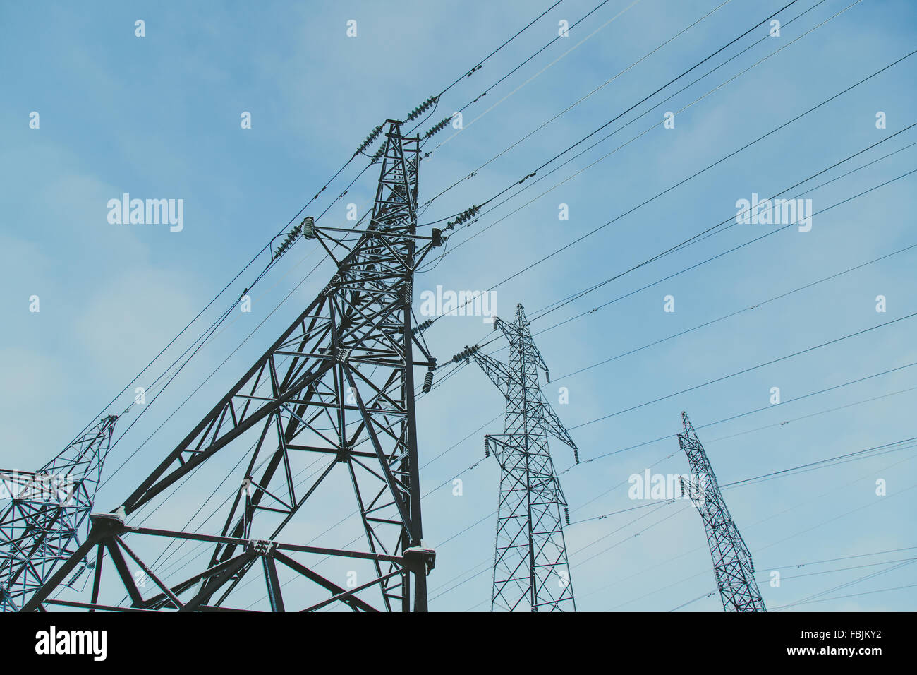 Power line among trees hi-res stock photography and images - Alamy