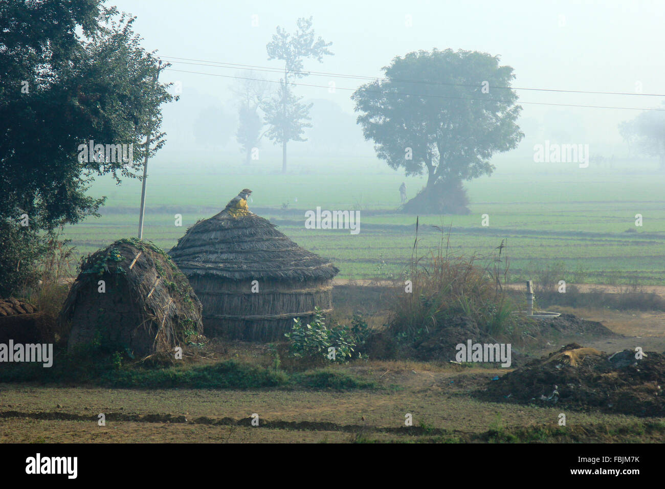 Uttar pradesh village hi-res stock photography and images - Alamy