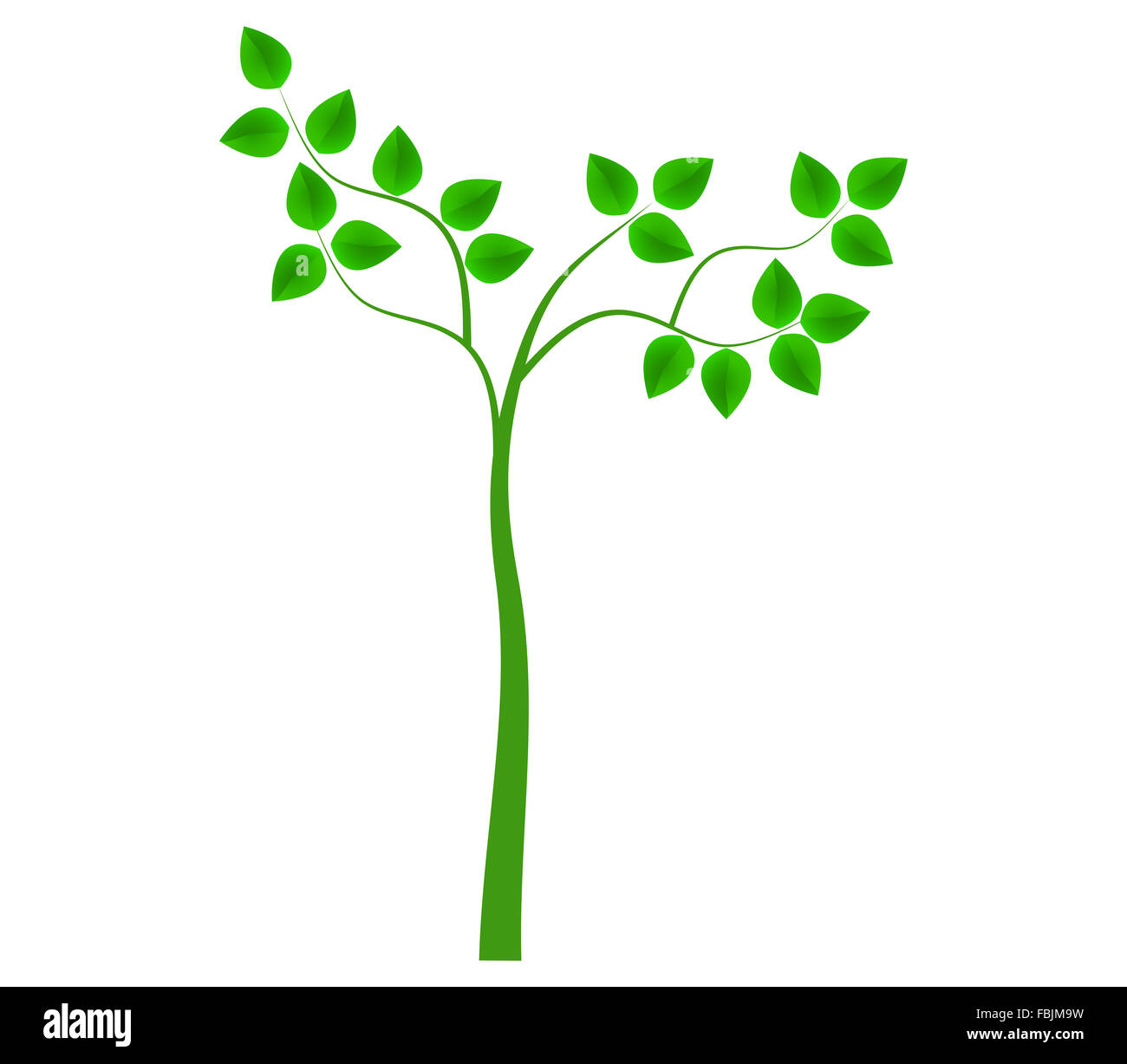 tree on white background Stock Photo - Alamy