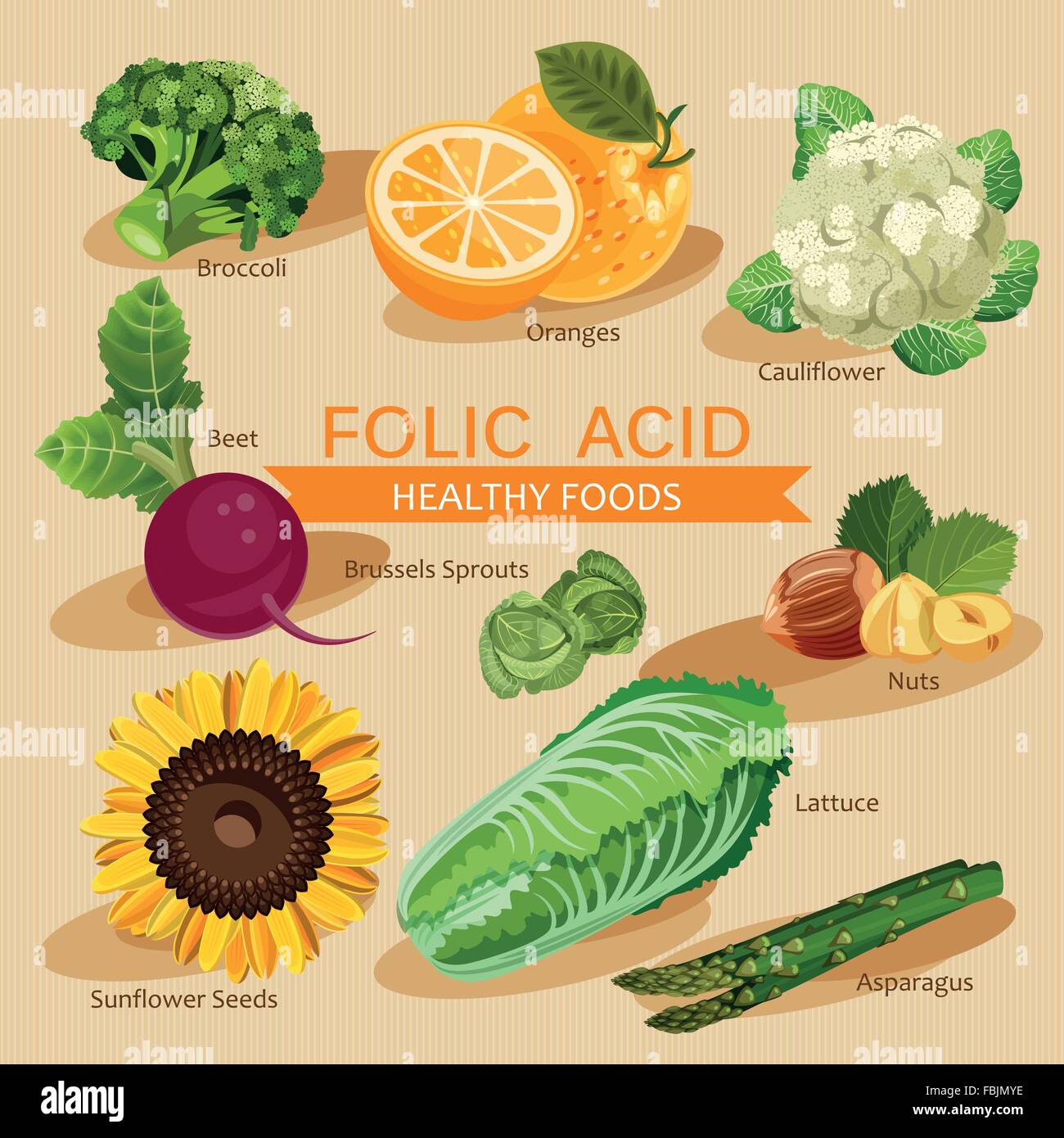 Folic Acid Stock Vector Images - Alamy
