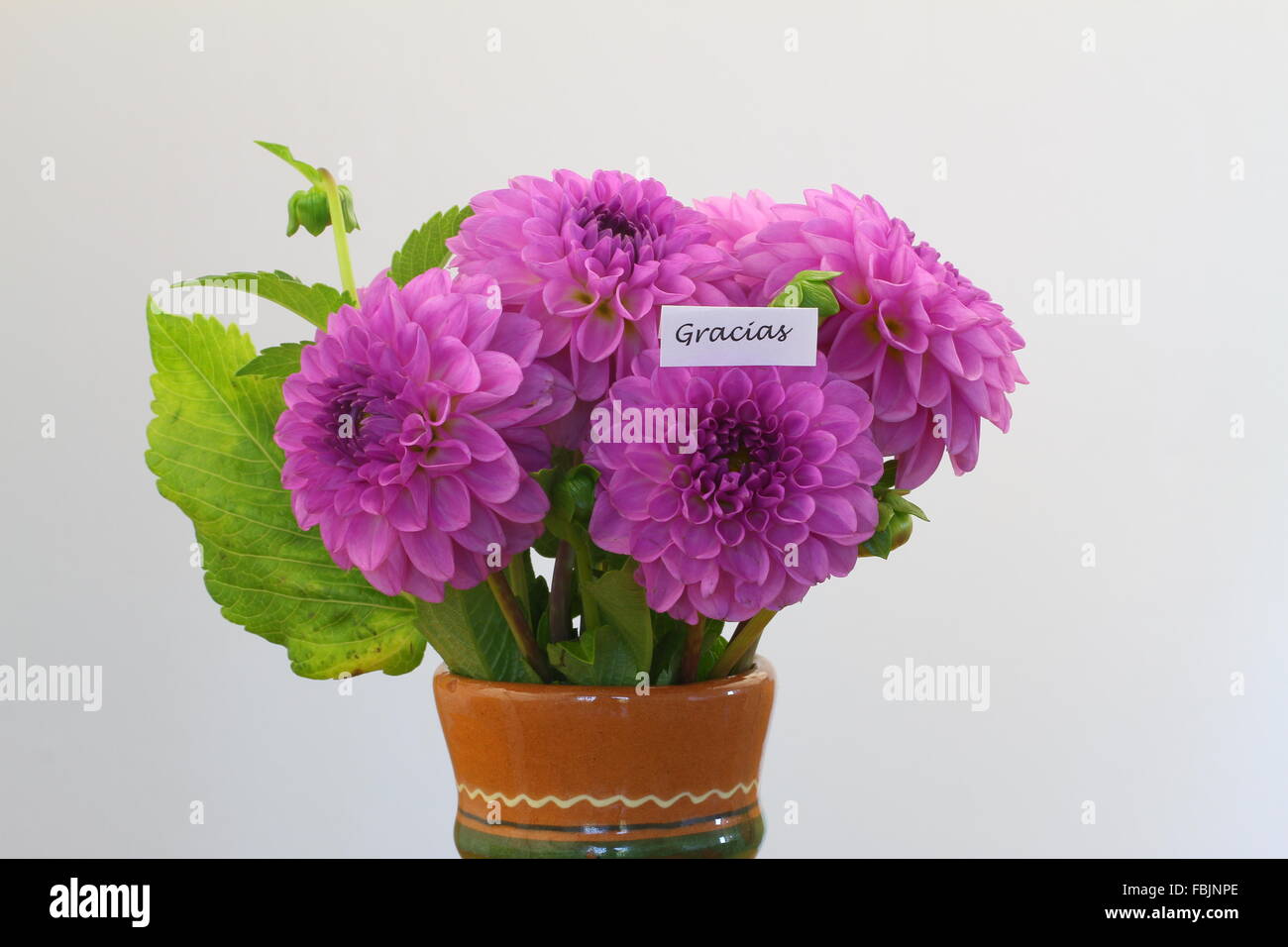 Thank you note with pink flowers hi-res stock photography and images ...