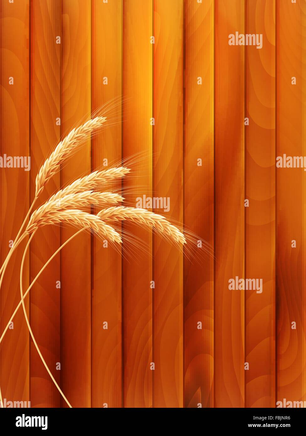 Green ear wheat on Stock Vector Images - Alamy
