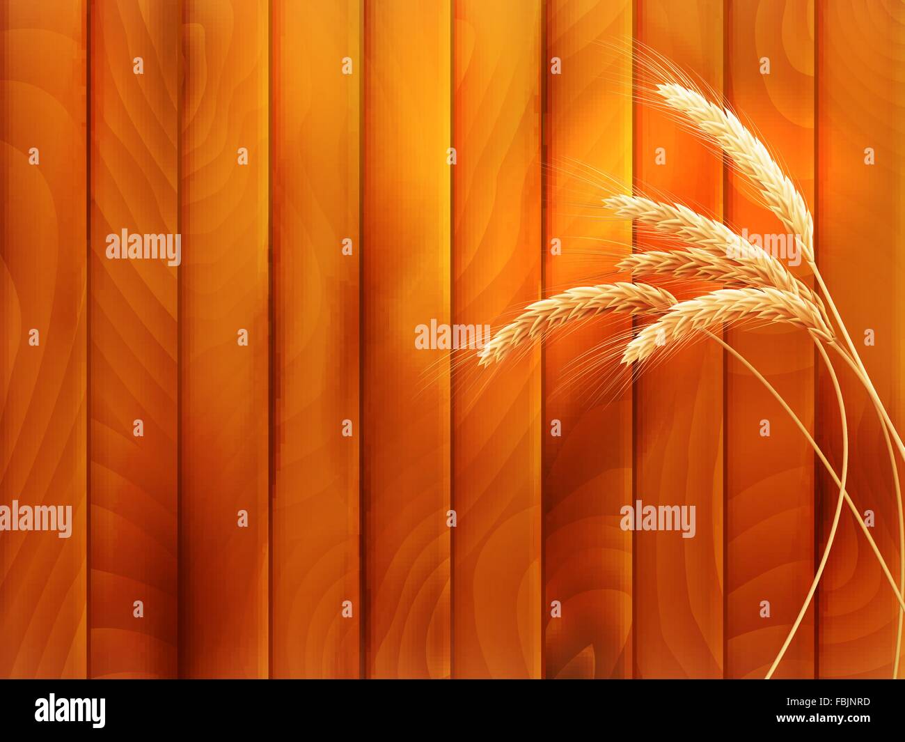 Green ear wheat on Stock Vector Images - Alamy