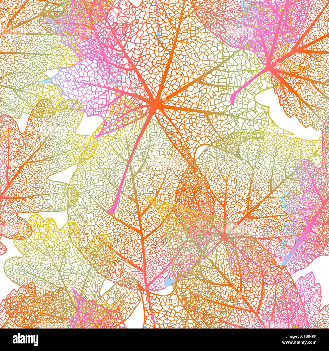 Detailed leaf structure Stock Vector Images - Alamy