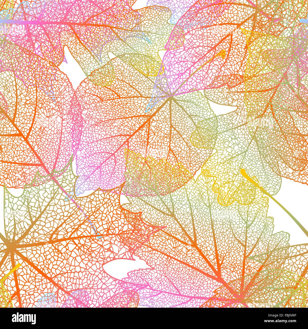 Detailed leaf structure Stock Vector Images - Alamy
