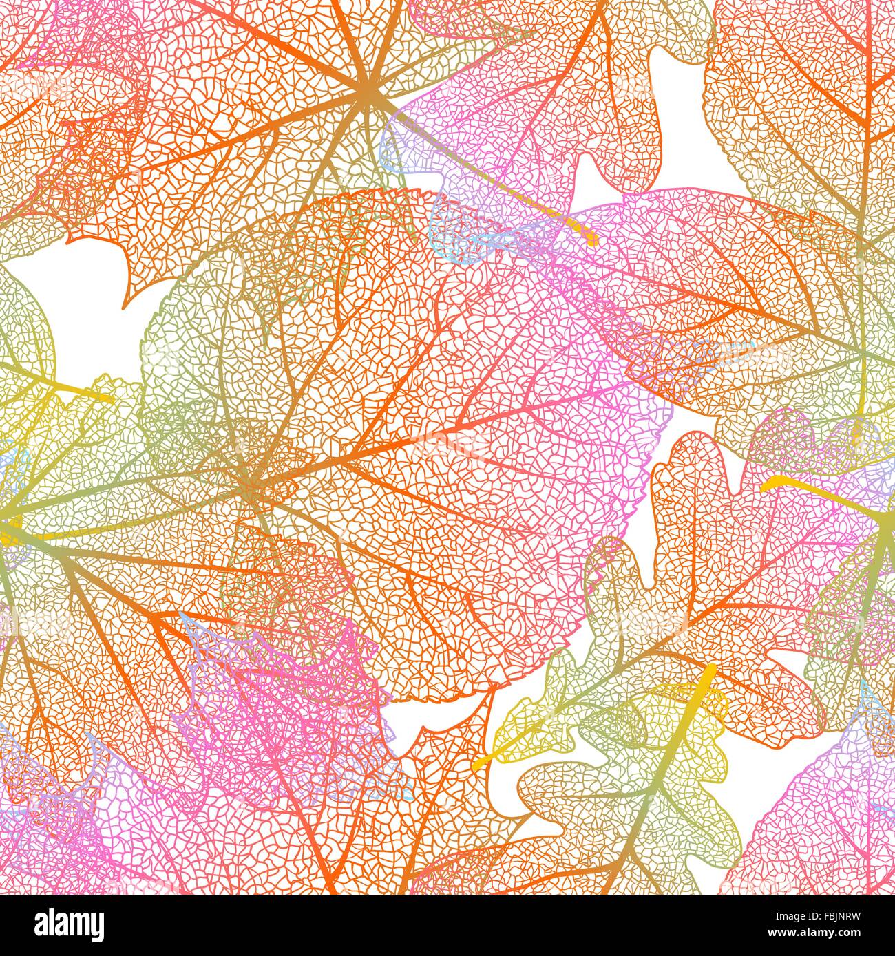 Detailed leaf structure Stock Vector Images - Alamy