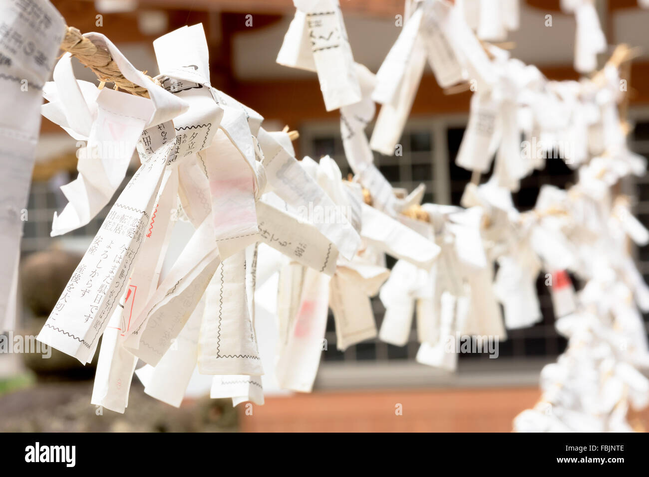 Traditional omikuji fortune papers in Japan Stock Photo - Alamy