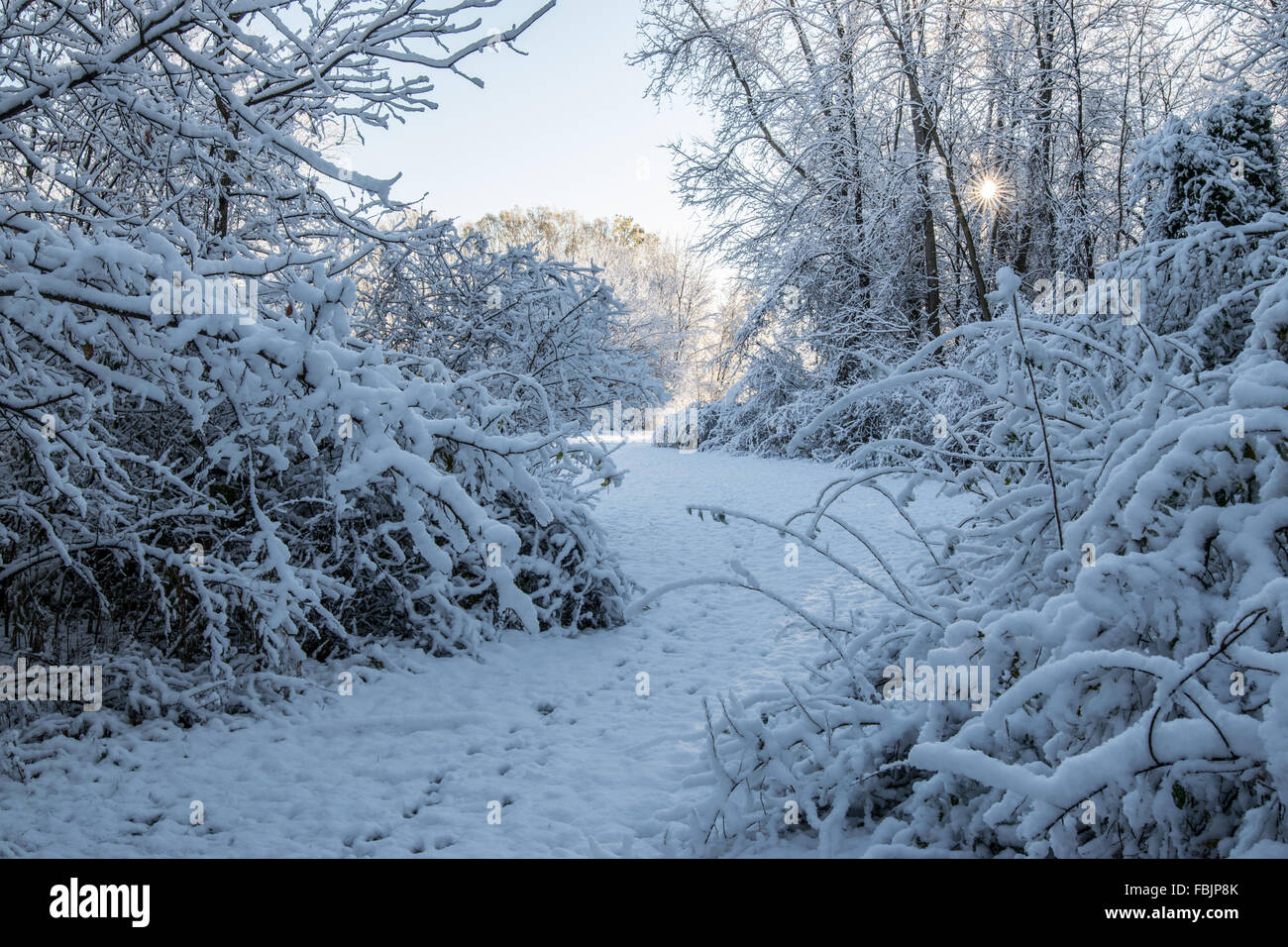 Pure michigan snow hi-res stock photography and images - Alamy