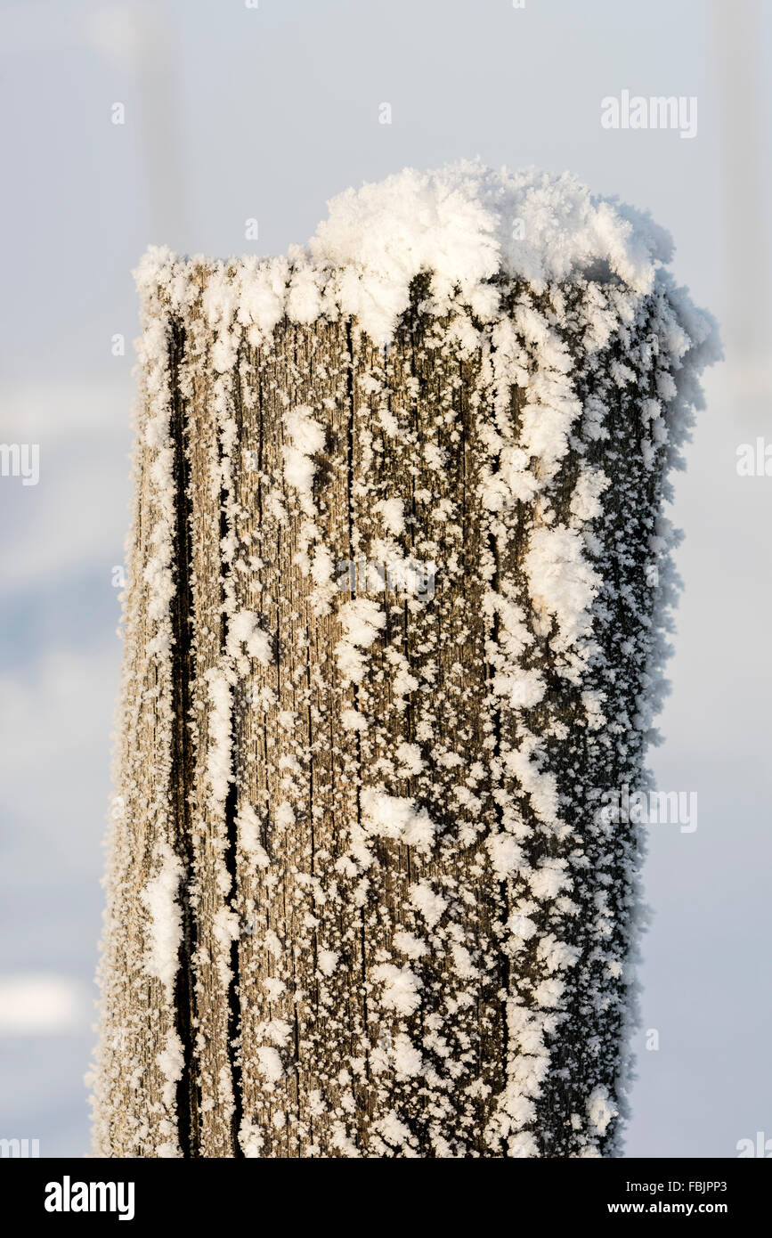 Frosty fence post closeup with snow Stock Photo - Alamy