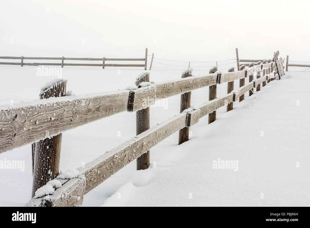 Fence frost hi-res stock photography and images - Alamy