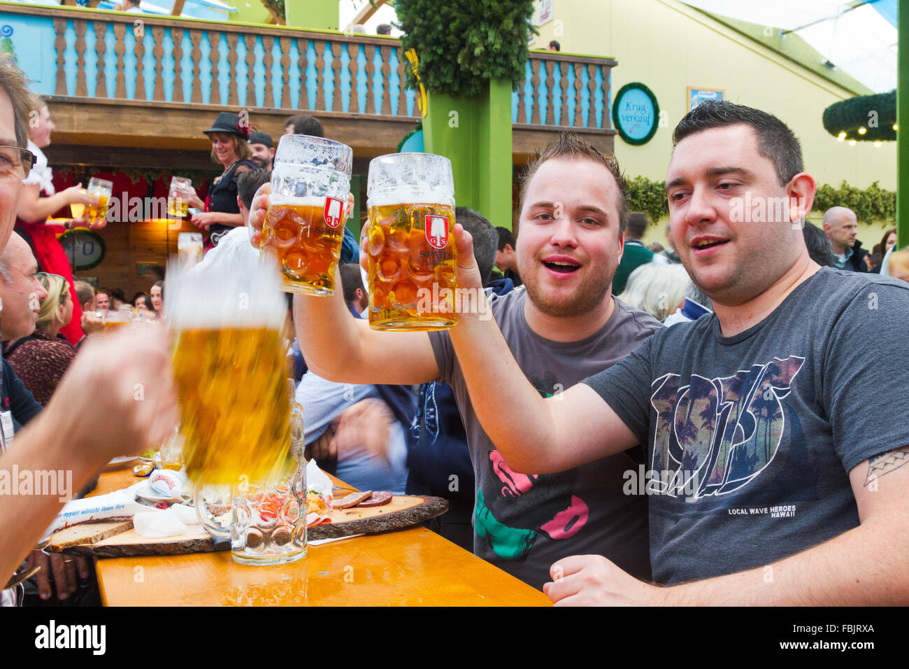 Young men toasting with beer mugs in a beer hall at Oktoberfest in ...