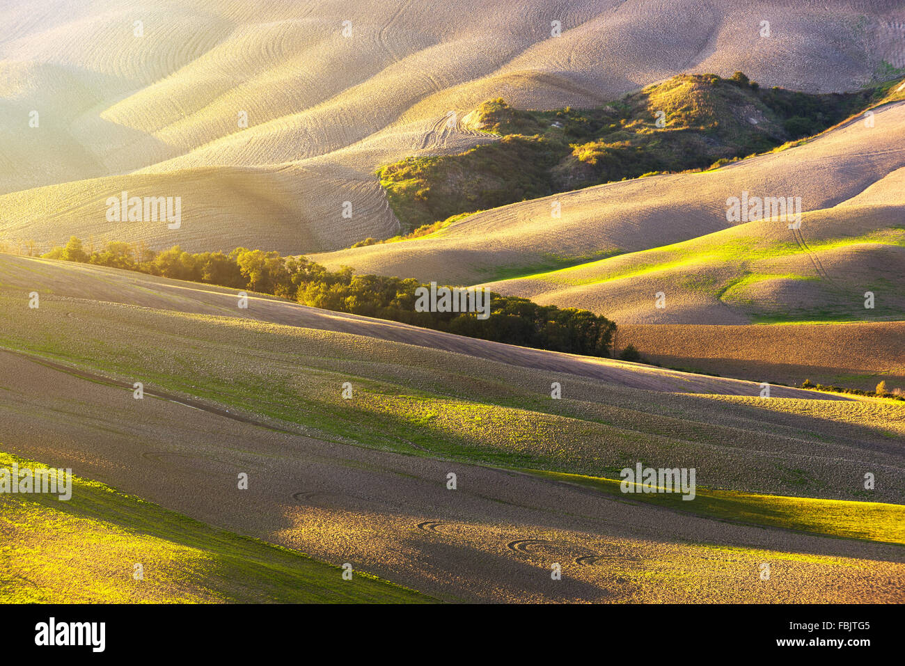 Fantastic sunny fall field in Italy, tuscany landscape Stock Photo - Alamy
