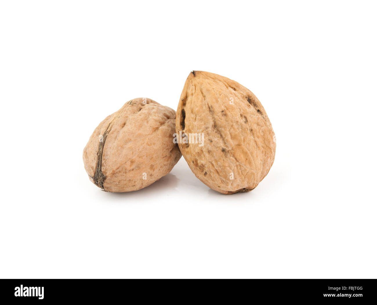 two walnuts are isolated on a white background Stock Photo - Alamy
