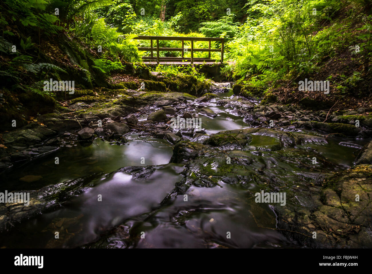 Belfast photo hi-res stock photography and images - Alamy