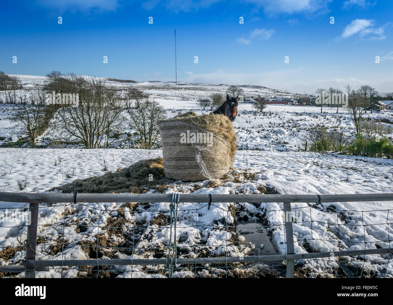 Irish Field High Resolution Stock Photography and Images - Alamy