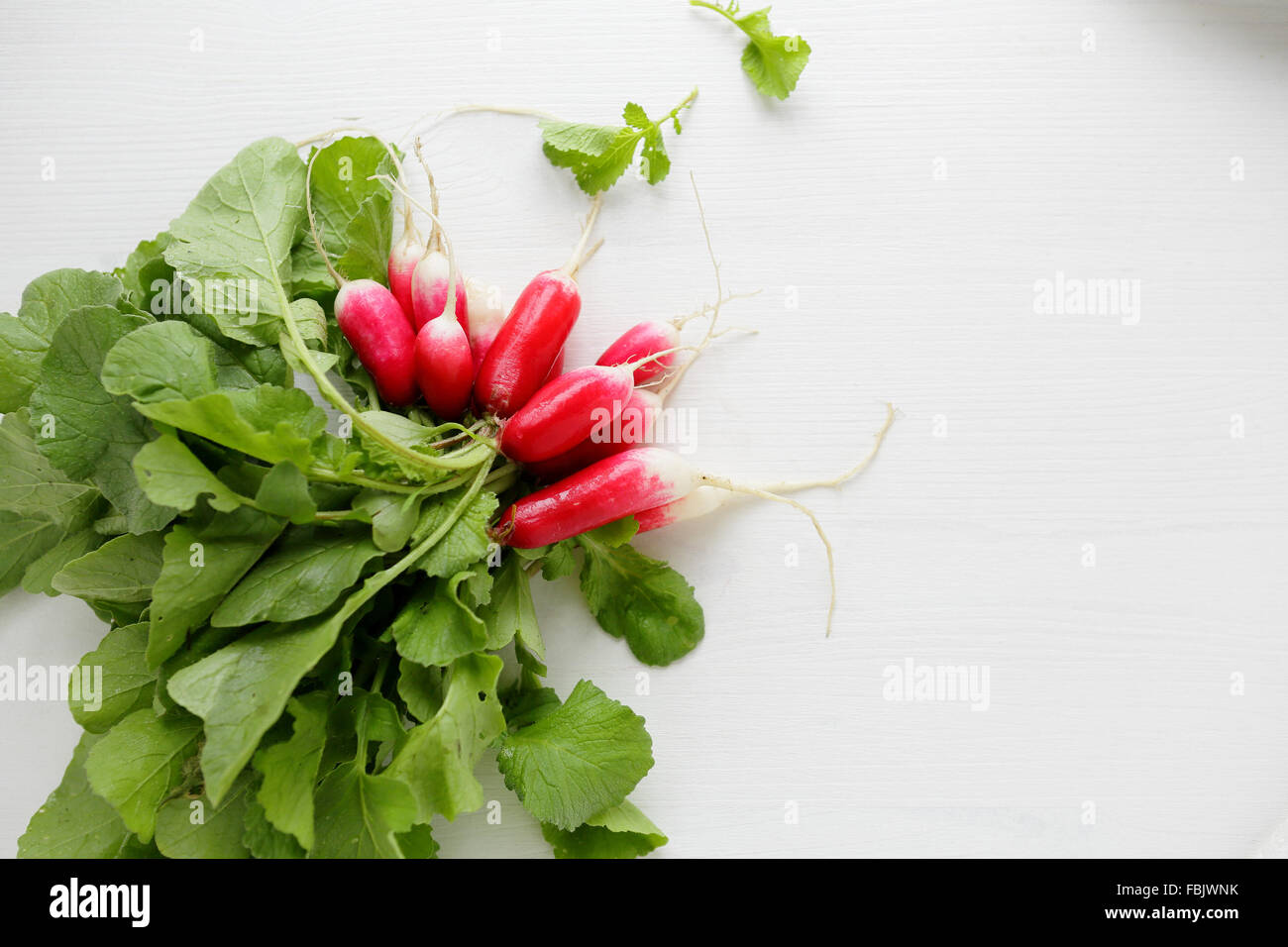 Radish top view hi-res stock photography and images - Alamy