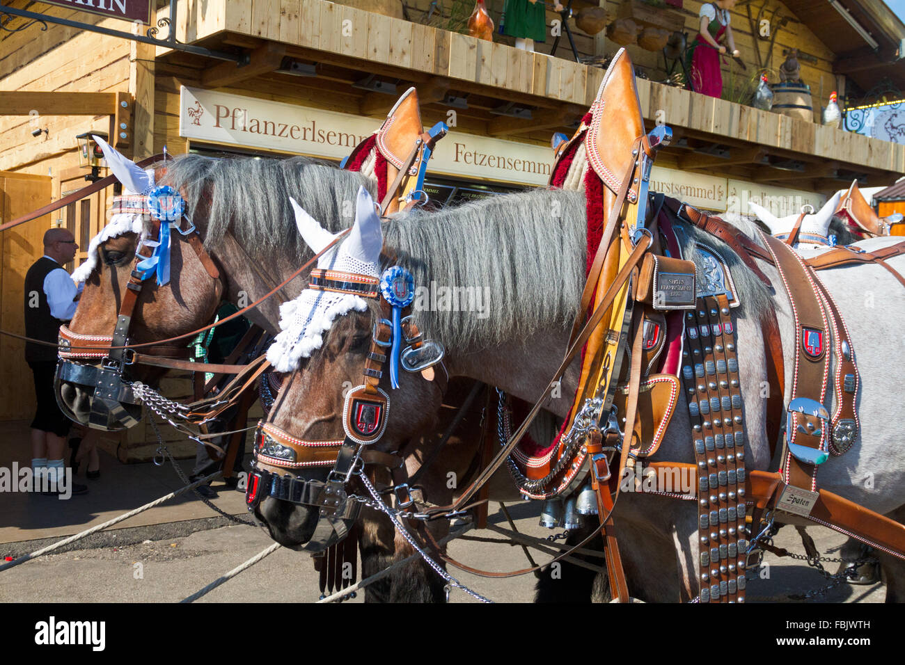 Decorative harness hi-res stock photography and images - Alamy