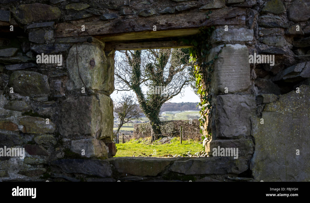 An old window from an abandoned Irish cottage laying in ruins Stock ...