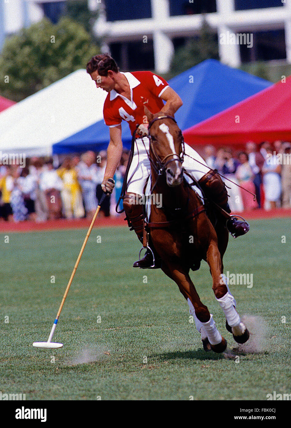 Prince of wales 198* polo hi-res stock photography and images - Alamy