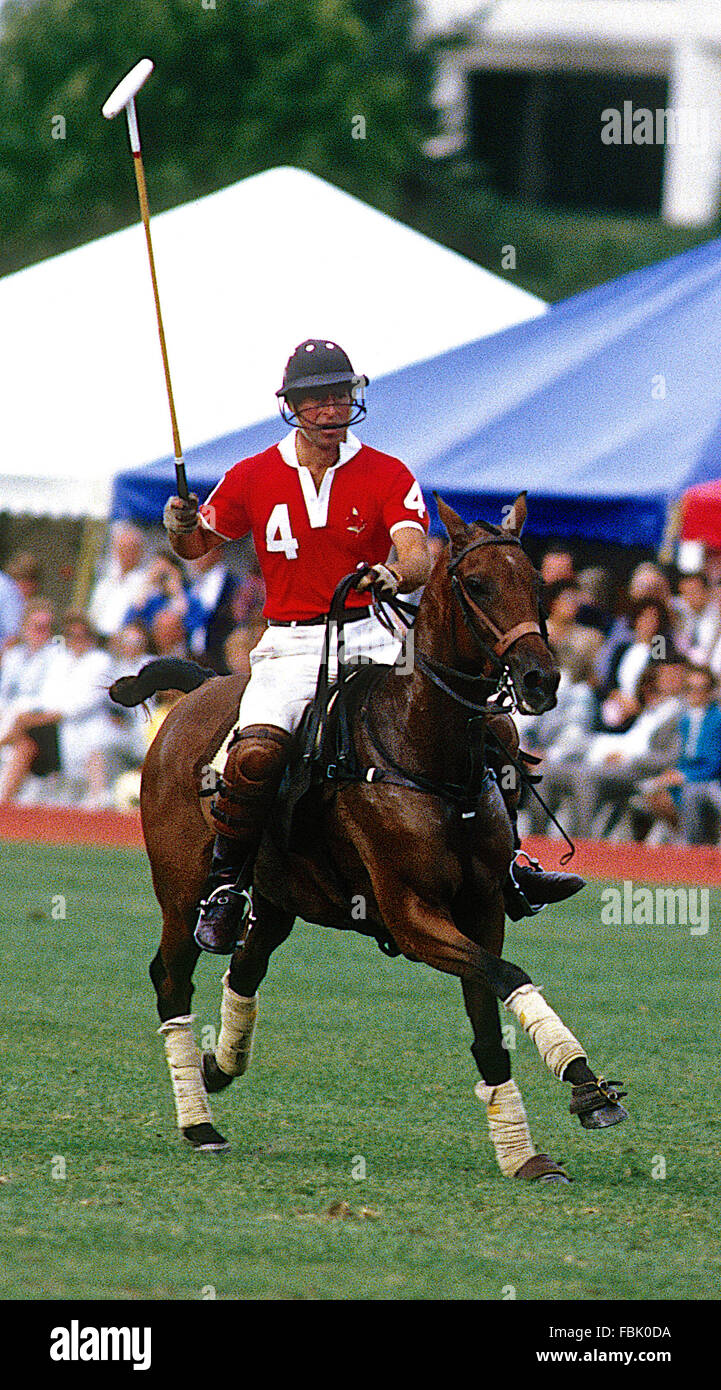 Prince Charles Polo Horse High Resolution Stock Photography and Images ...