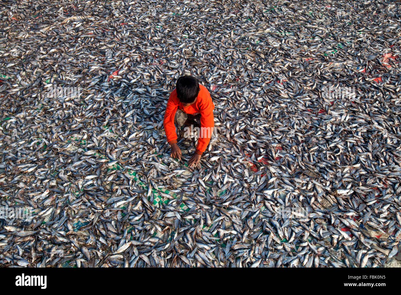 Child fishing labour hi-res stock photography and images - Alamy